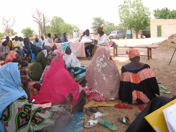 Allocution et activités professionnelles de Papa Sene